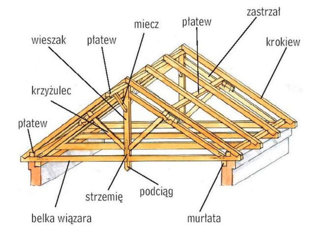 Podstawowe rodzaje więźb dachowych | Blog o drewnie Burkietowicz